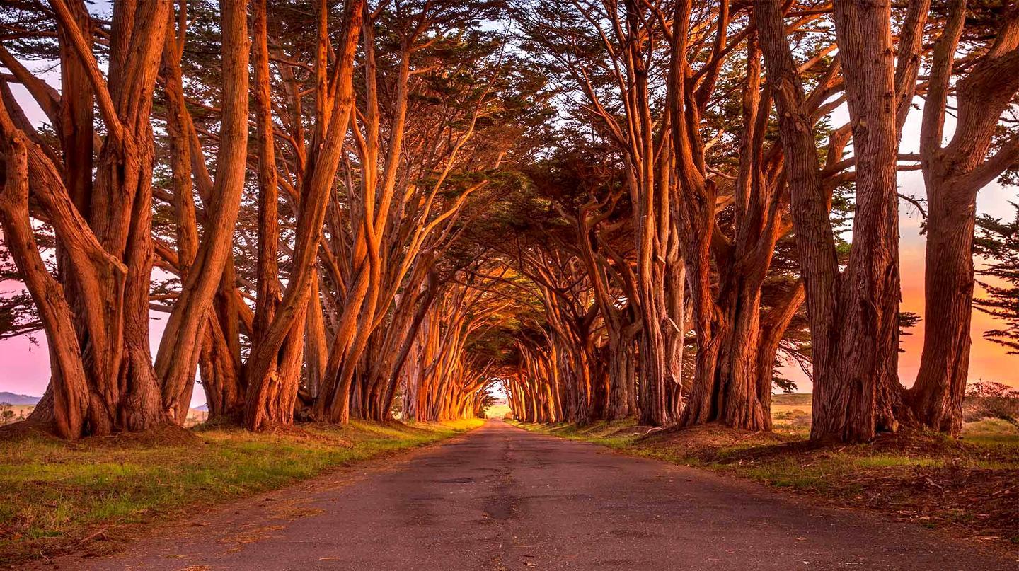 多数据源 Mybatis-Plus+SpringBoot注解方式@DS - 知乎