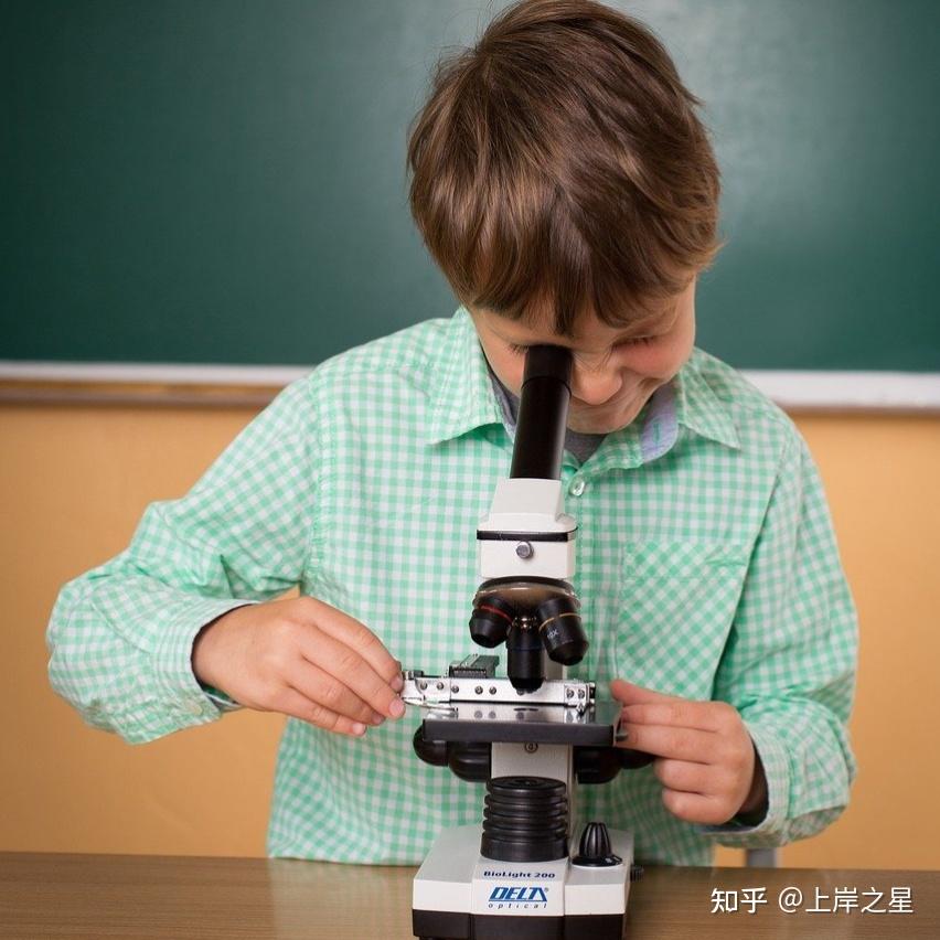 河南专升本三年制的专业 - 知乎