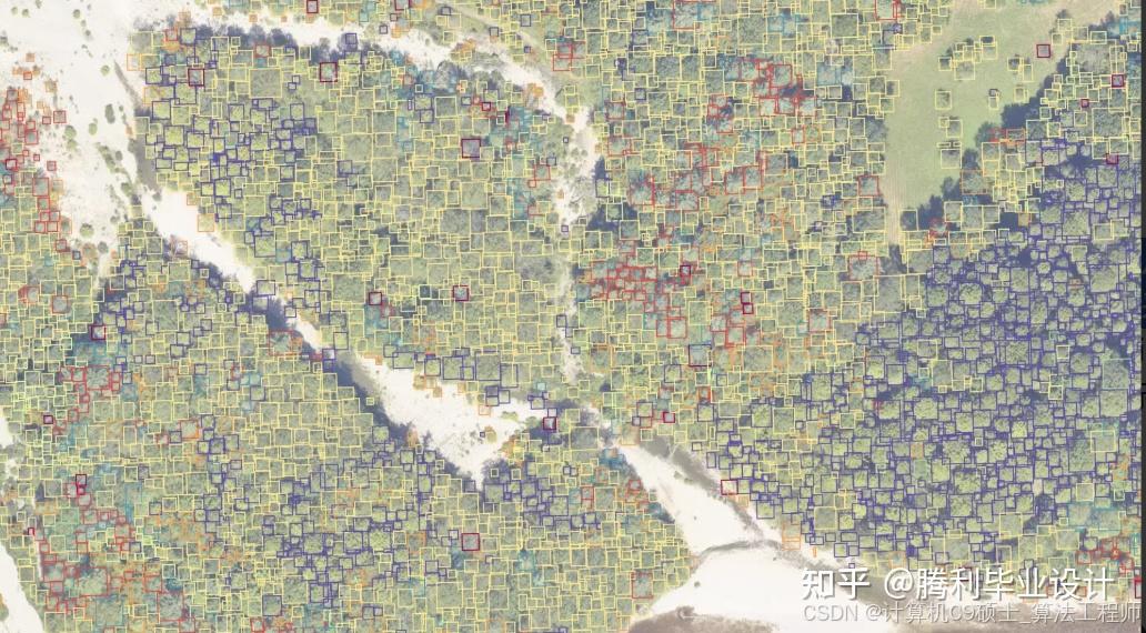 使用mask R Cnn模型来进行目标检测和实例分割 大规模高分辨率树种单木分割数据集 处理大规模高分辨率树种单木分割任务从14个不同树种类中分割和标注了23000个树冠 知乎