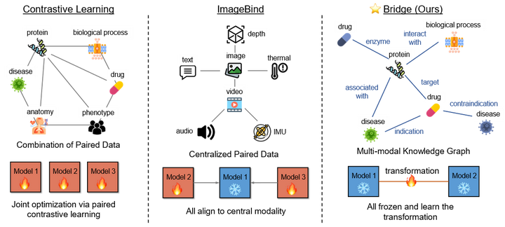 ICLR'24 | BioBridge 构建多模态生物医学基础模型 - 知乎