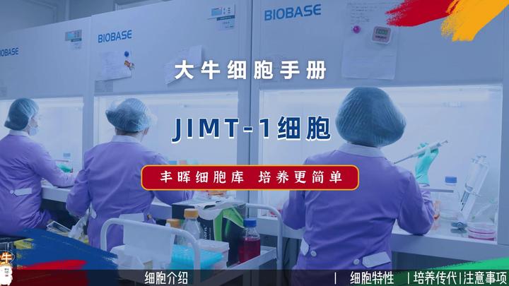 JIMT-1细胞培养，人乳腺癌细胞培养攻略 - 丰晖生物 - 知乎