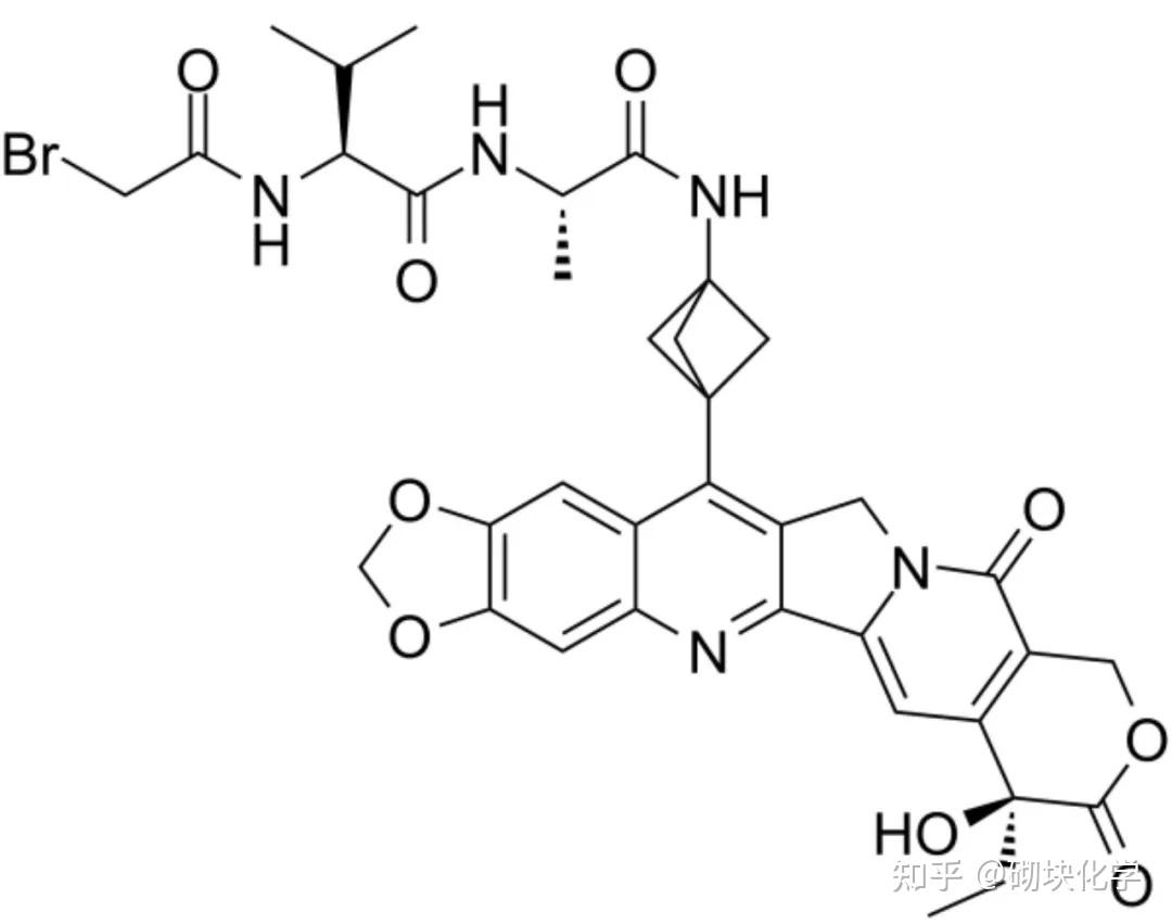 快讯｜2025年AACR年会上，首次披露值得关注的活性分子！ - 知乎