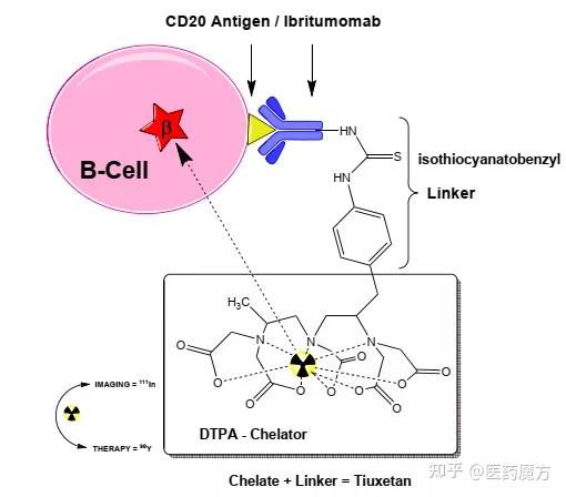 核素偶联药物（RDC）：黑色大幕，悄然开启 - 知乎