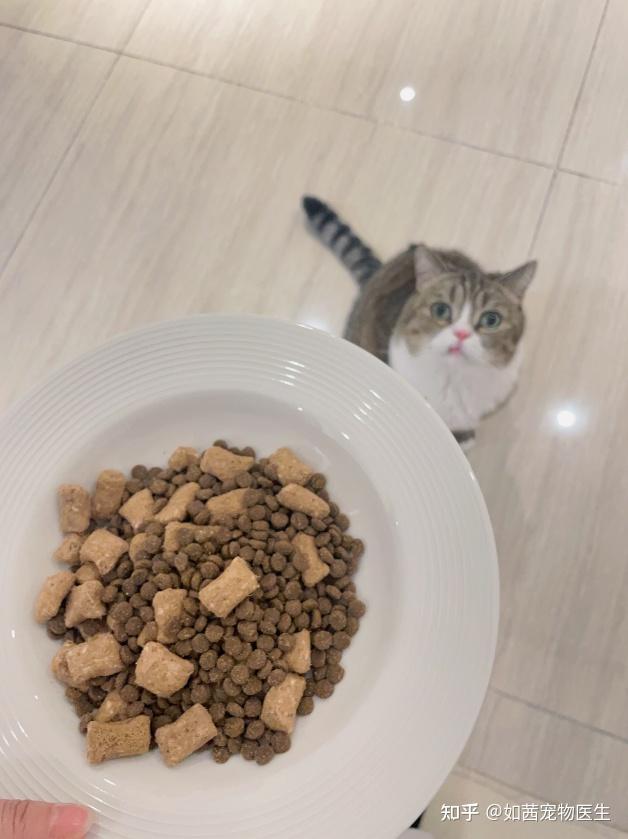 最近大家都在说的BARF喂养方式究竟是什么? 靠谱吗? - 知乎