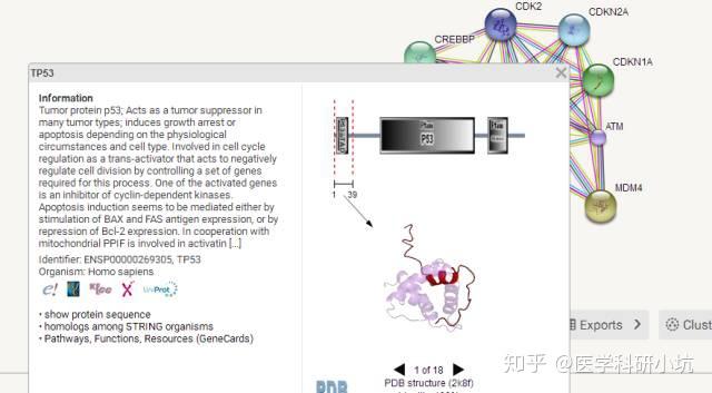 一网打尽：cytoscape详细教程 - 知乎