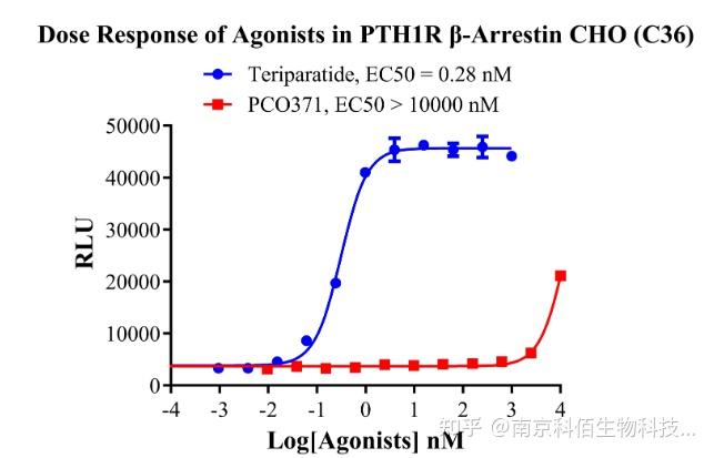 药靶细胞模型---PTH1R的细胞模型 - 知乎