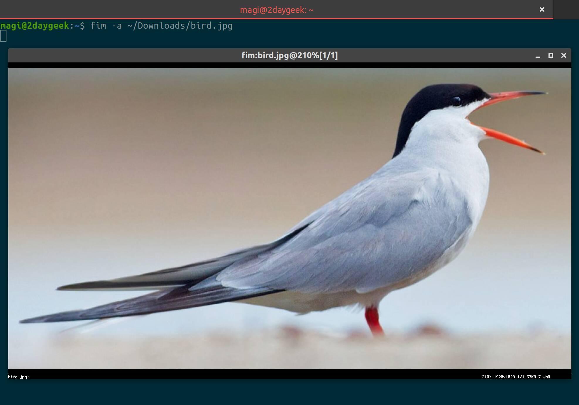 如何在 Linux 终端查看图像 | Linux 中国 - 知乎