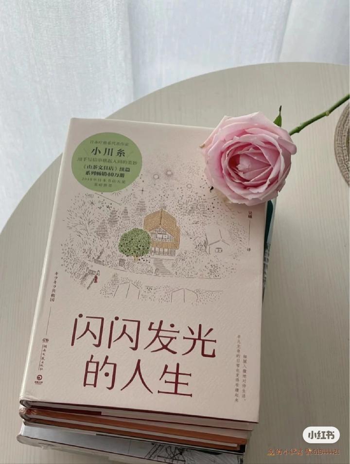 治愈书单!如何把一地鸡毛的日子过得闪闪发光 知乎