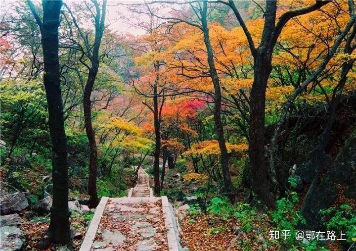 拿走不谢，洛阳老君山最全旅游攻略 知乎