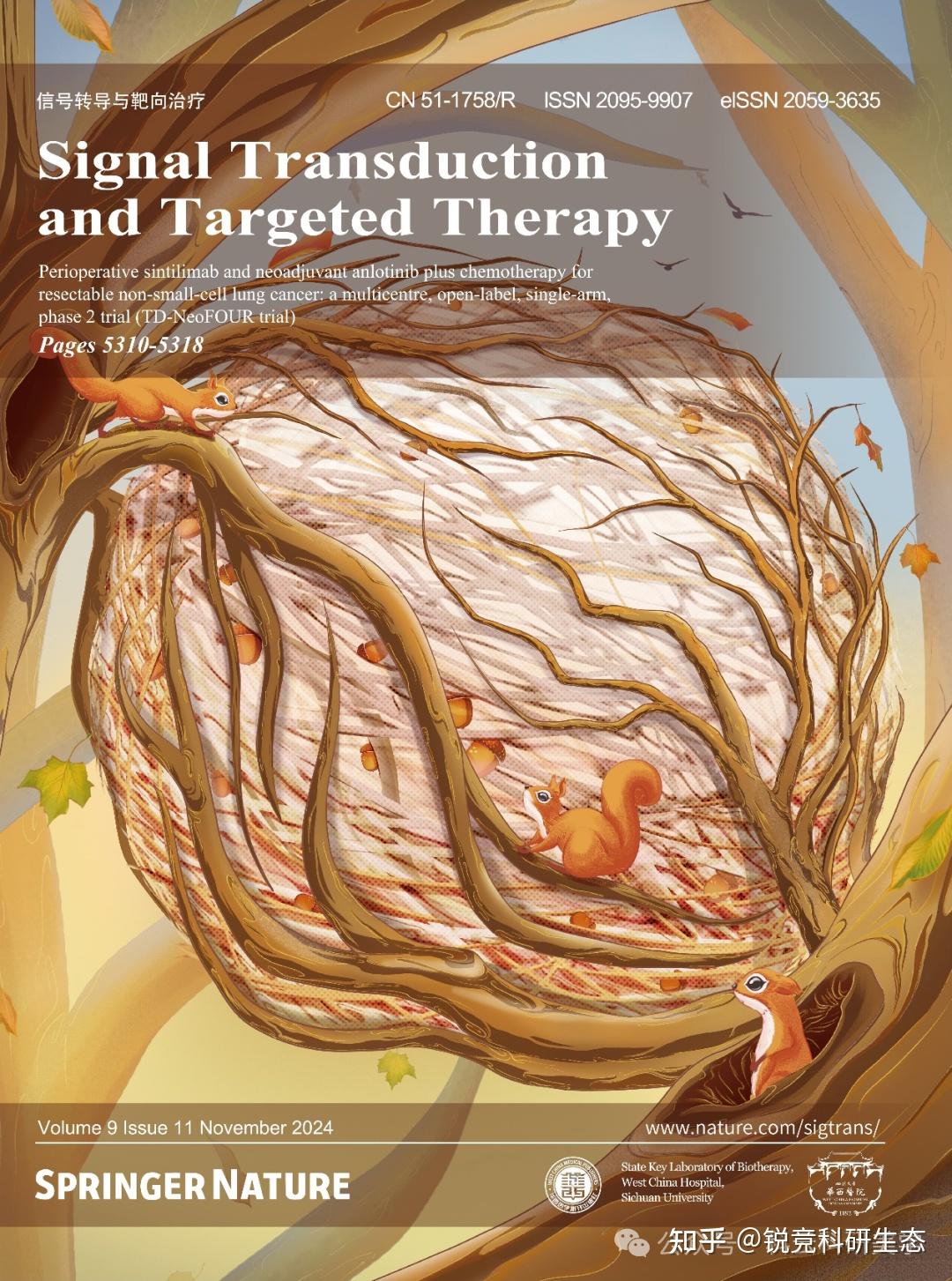 STTT 封面设计全过程分享 | Vol.9 No.11 - 知乎