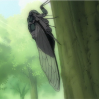 latex 中修改公式字体 - 知乎