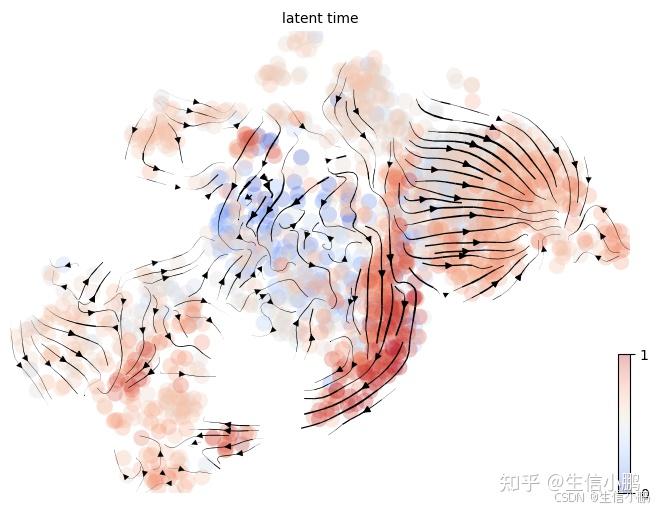 单细胞分析（16）—— RNA Velocity 分析流程 | RNA速率实操的干货内容 - 知乎