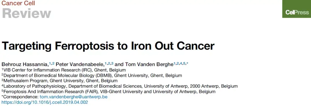 『珍藏版』Cancer Cell综述 | 通过靶向铁死亡消除肿瘤 - 知乎