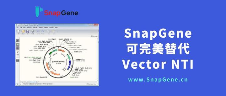 SnapGene完美替代Vector NTI，如何用SnapGene打开Vector NTI文件呢？ - 知乎