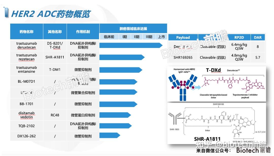 手工珍作丨肺癌治疗探索之路-ADC药物篇 - 知乎
