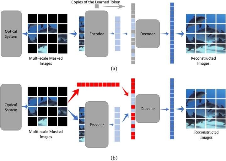 [每日论文]Optical implementation and robustness validation for multi-scale ...