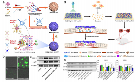活性金属卟啉基有机骨架PCN(Porous Coordination Network) - 知乎