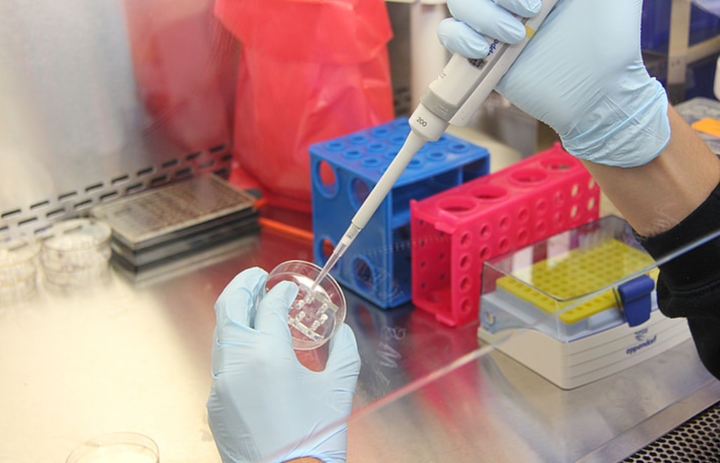 【毒理学试验】牛角膜混浊和通透性试验（BCOP） - 知乎