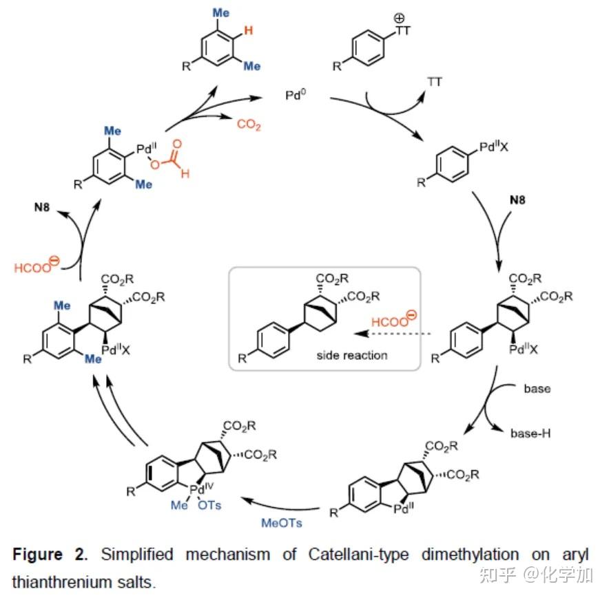 Angew：通过芳基噻蒽鎓盐的Catellani反应实现芳烃的间二甲基化反应 - 知乎