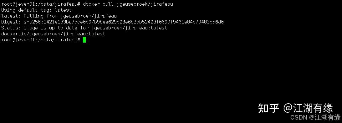 【Docker项目实战】使用Docker部署Jirafeau文件共享工具 - 知乎