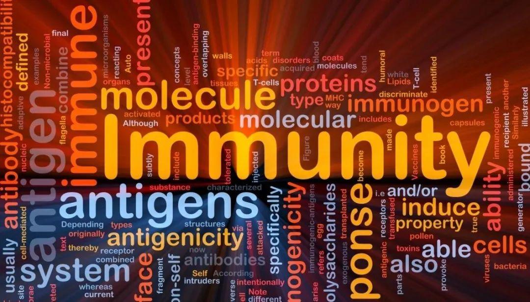 Nat Comm | 华中科技大学王晨辉团队揭示TAGAP参与抗真菌免疫的分子机制 - 知乎