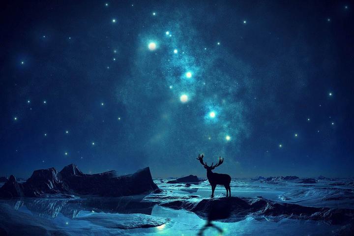 介绍Bottleneck layer结构 - 知乎