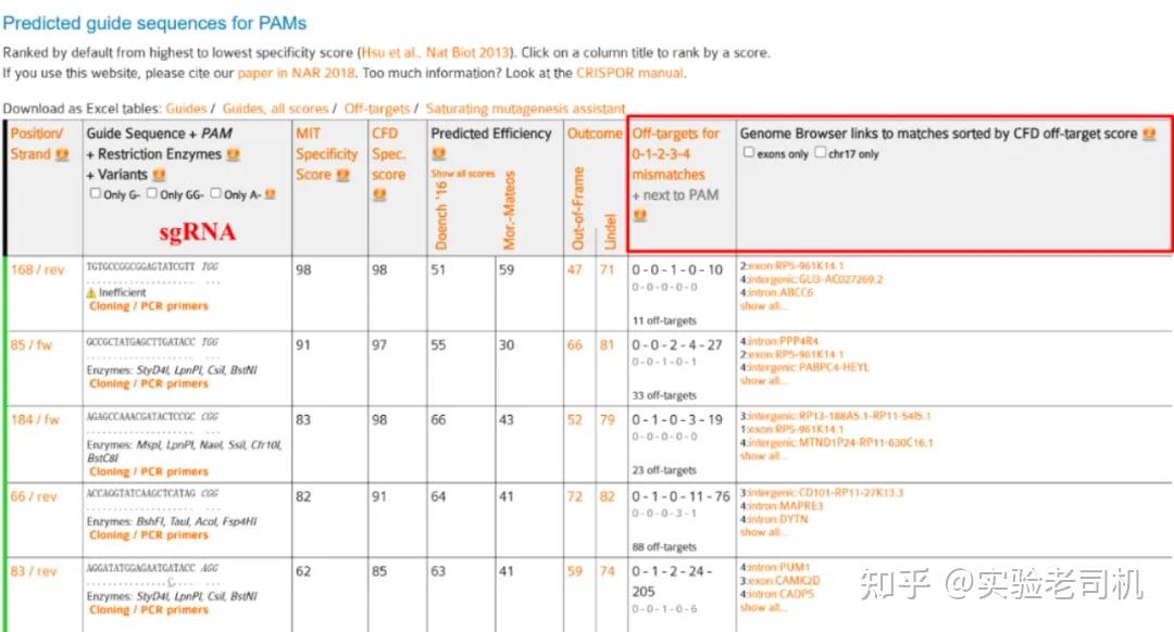 手把手教学——CRISPR-Cas9系统：sgRNA的设计及质粒构建 - 知乎