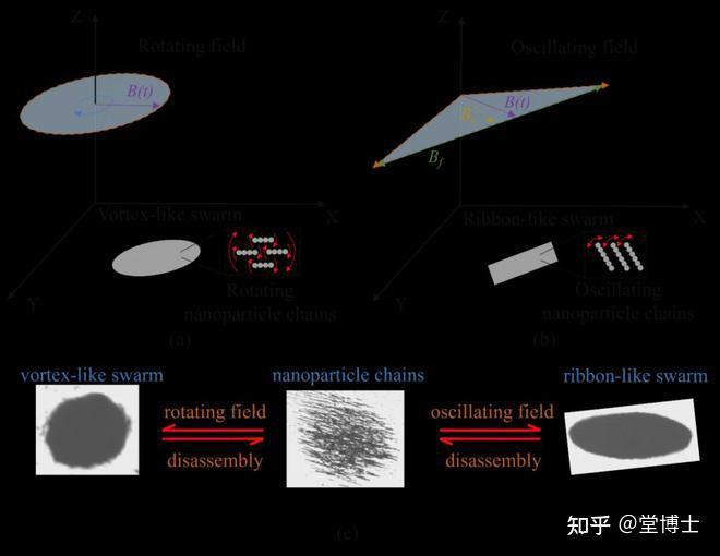 IEEE TRO发表！香港中文大学团队提出可重构微纳机器人集群方案，实现高精度自动化微操作！ - 知乎