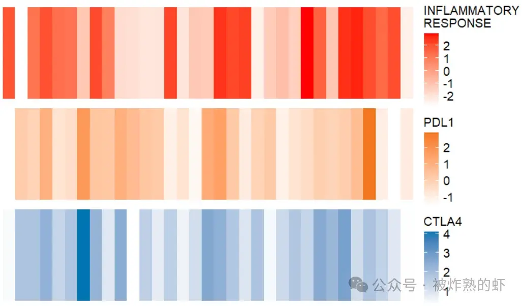 绘图练习 | 使用ggplot2绘制热图 - 知乎