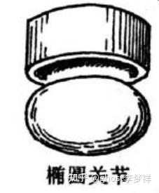 医学笔记，系统解剖学#6-关节学总论 - 知乎