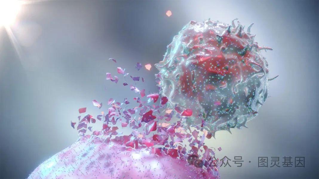 Nat Immu | 揭示IKAROS/AIOLOS相关抗肿瘤药物的作用机制 - 知乎