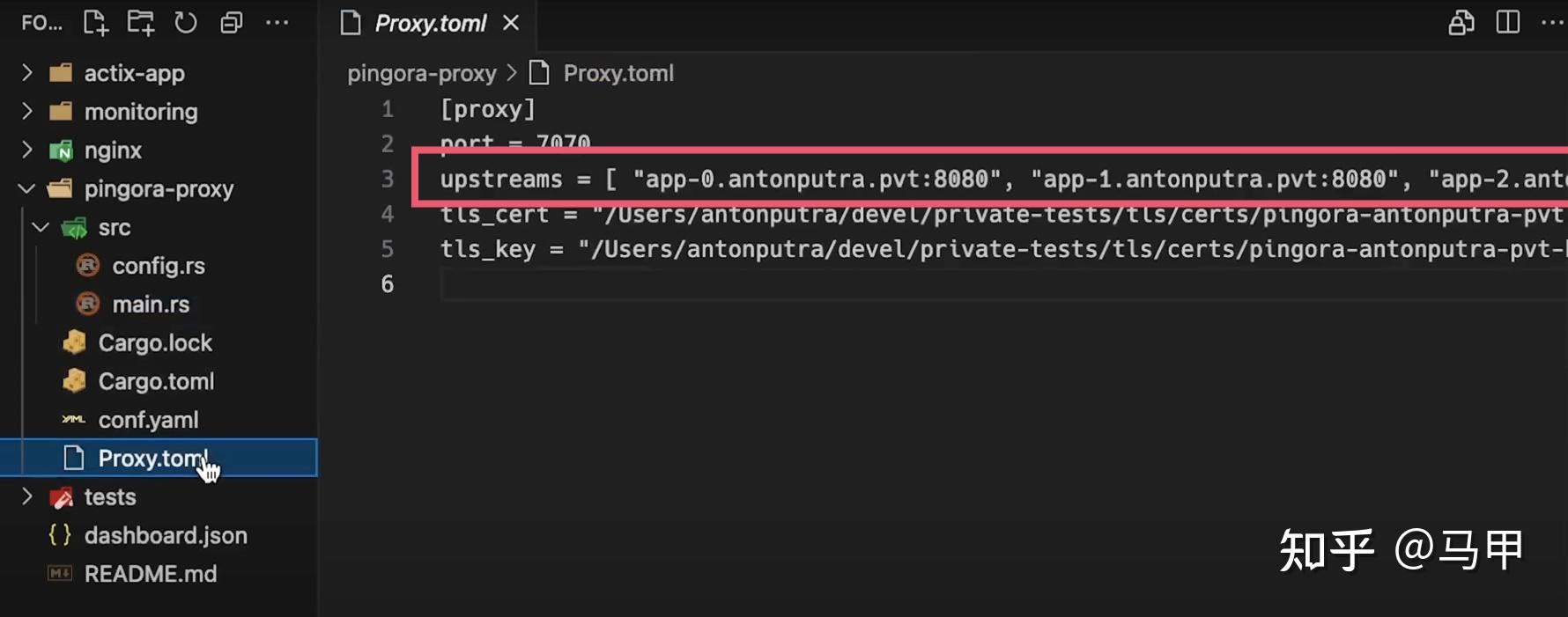 性能比拼: Pingora vs Nginx (My NEW Favorite Proxy) - 知乎