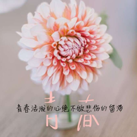 【RealFill】一种新的用于图像补全的生成式模型 - 知乎