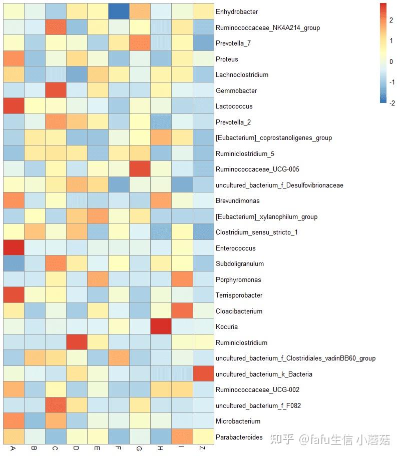 R语言 pheatmap 包绘制热图（基础部分） - 知乎