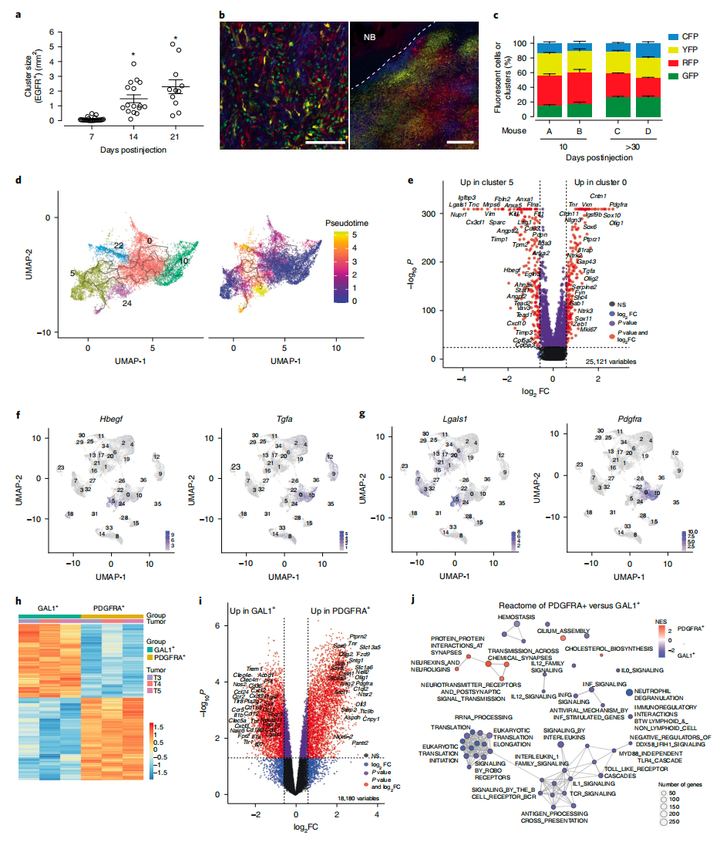 IF 31！Nature Immunology重磅：单细胞核RNA测序揭示胶质母细胞瘤进展过程中的免疫图谱 - 知乎