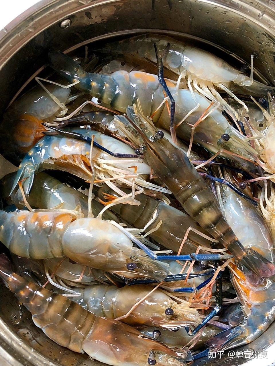 罗氏虾的营养价值怎么样？ - 知乎