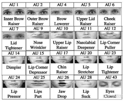 智慧教室中利用身体姿势和面部特征对学生行为进行分类的视觉智能系统 - 知乎