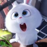 OpenAI 开发系列（七）：LLM提示工程（Prompt）与思维链（CoT） - 知乎