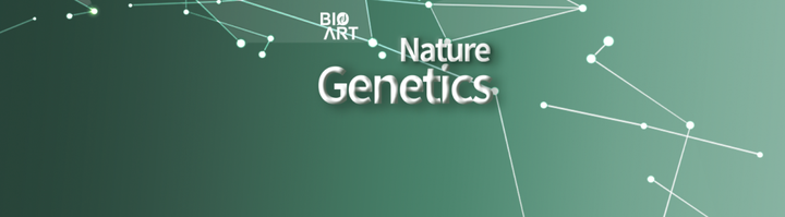 Nat Genet | 王思远团队发表首个癌症单细胞三维基因组图集 - 知乎