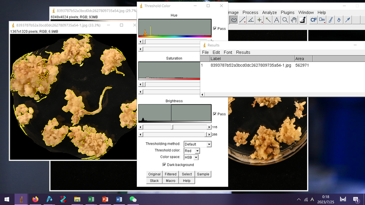 Image J 自动测量不规则图片面积 - 知乎
