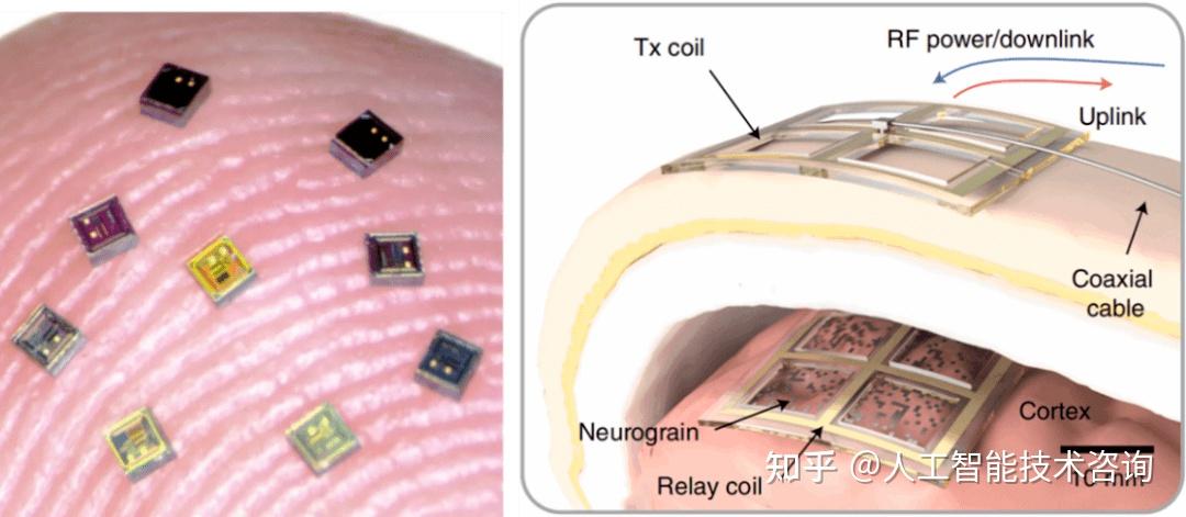 脑机接口技术的军事应用现状与未来 - 知乎