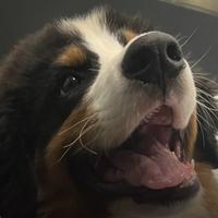 WMMSE算法推导 - 知乎