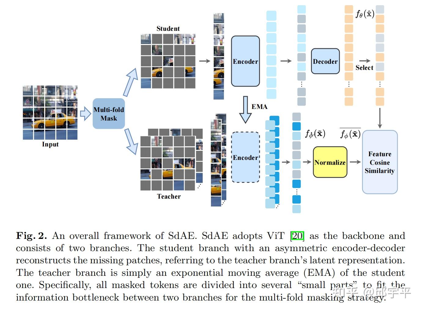 【论文阅读】SdAE: Self-distillated Masked Autoencoder - 知乎