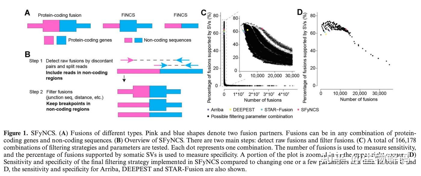 每日文摘 | 2023年10月27日 - 知乎
