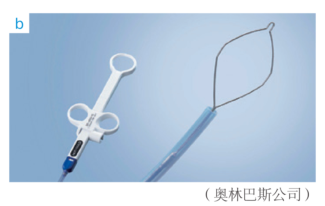 息肉切除术：内镜附件的使用基础 - 知乎