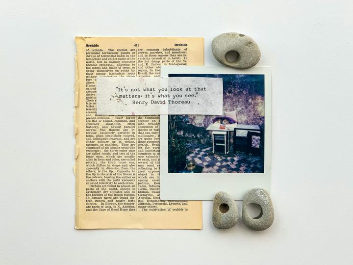 Memo Card：文字生成精美卡片 - 知乎