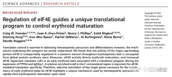 一种独特的翻译程序调控红细胞的命运！ - 知乎