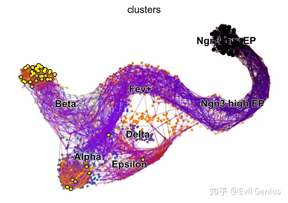 课前准备-单细胞新版velocity（cellrank 2） - 知乎