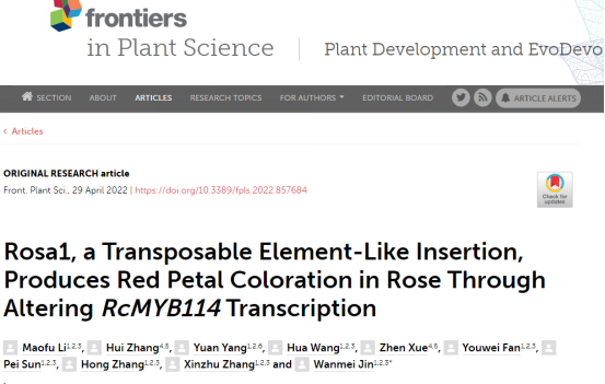 【农科成果】北京市农林科学院林果所在月季花瓣颜色分子调控机制研究方面取得新进展 - 知乎