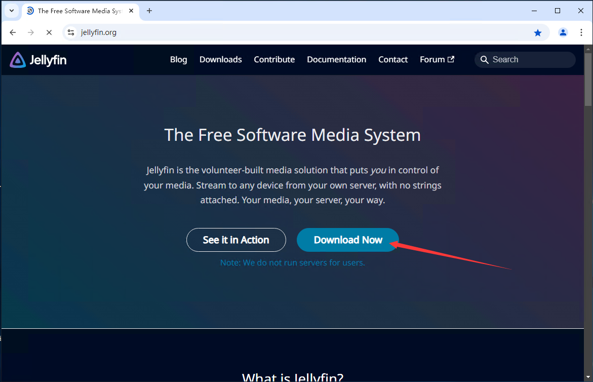 无公网IP 外网访问可 Jellyfin 播放器 - 知乎